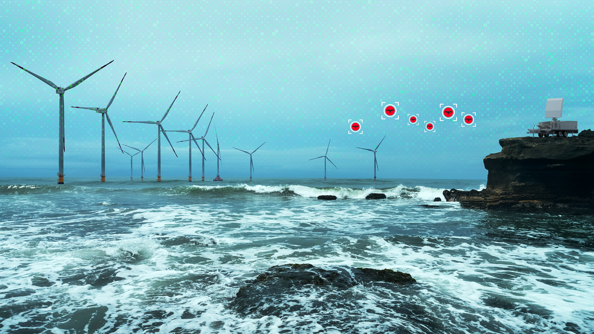 World Migratory Bird Day: How Radar Keeps Incredible Avian Journeys ...