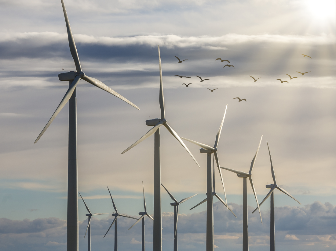 Wind Farm Bird Radar | Robin Radar Systems