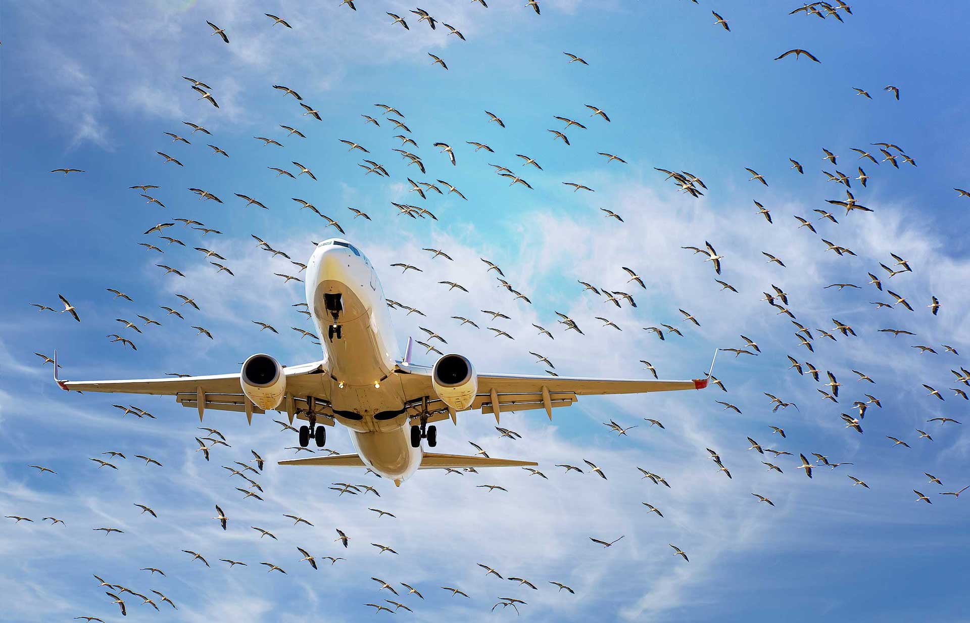 Drone Detection Radar Robin Radar